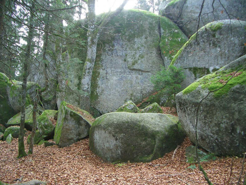 Schwarzwaldort Furtwangen - Orte im Schwarzwald - Ortsinformationen im ...