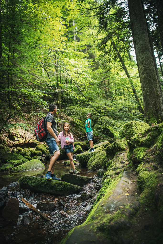 Monbachtal Wasserfall bei Bad Liebenzell